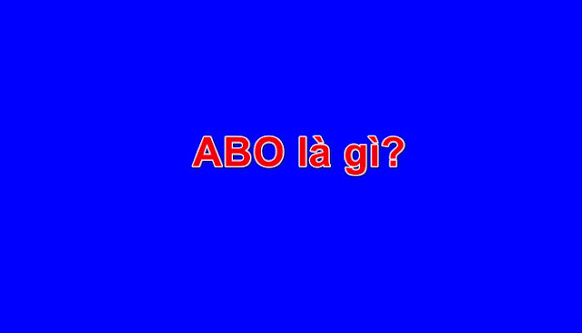 ABO là gì? Đừng bỏ qua câu trả lời chính xác nhất này nhé! - wowhay4u