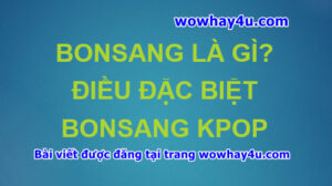 Bonsang là gì? Điều đặc biệt Bonsang Kpop chưa ai biết - wowhay4u