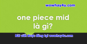 one piece mid là gì? Đúng nhất - wowhay4u