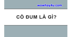 cô đum là gì? Đúng nhất đọc ngay - wowhay4u
