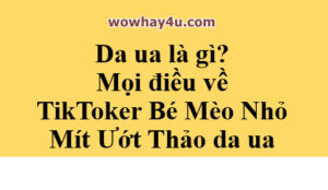 Da ua là gì? Mọi điều về TikToker Bé Mèo Nhỏ Mít Ướt Thảo da ua - wowhay4u